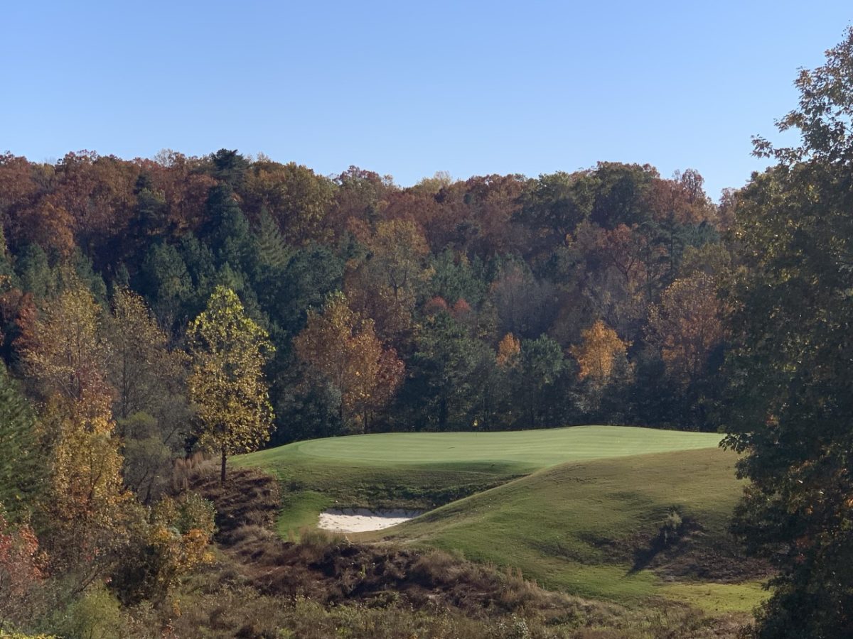 Stonehouse Golf Club - Womens Golf Day