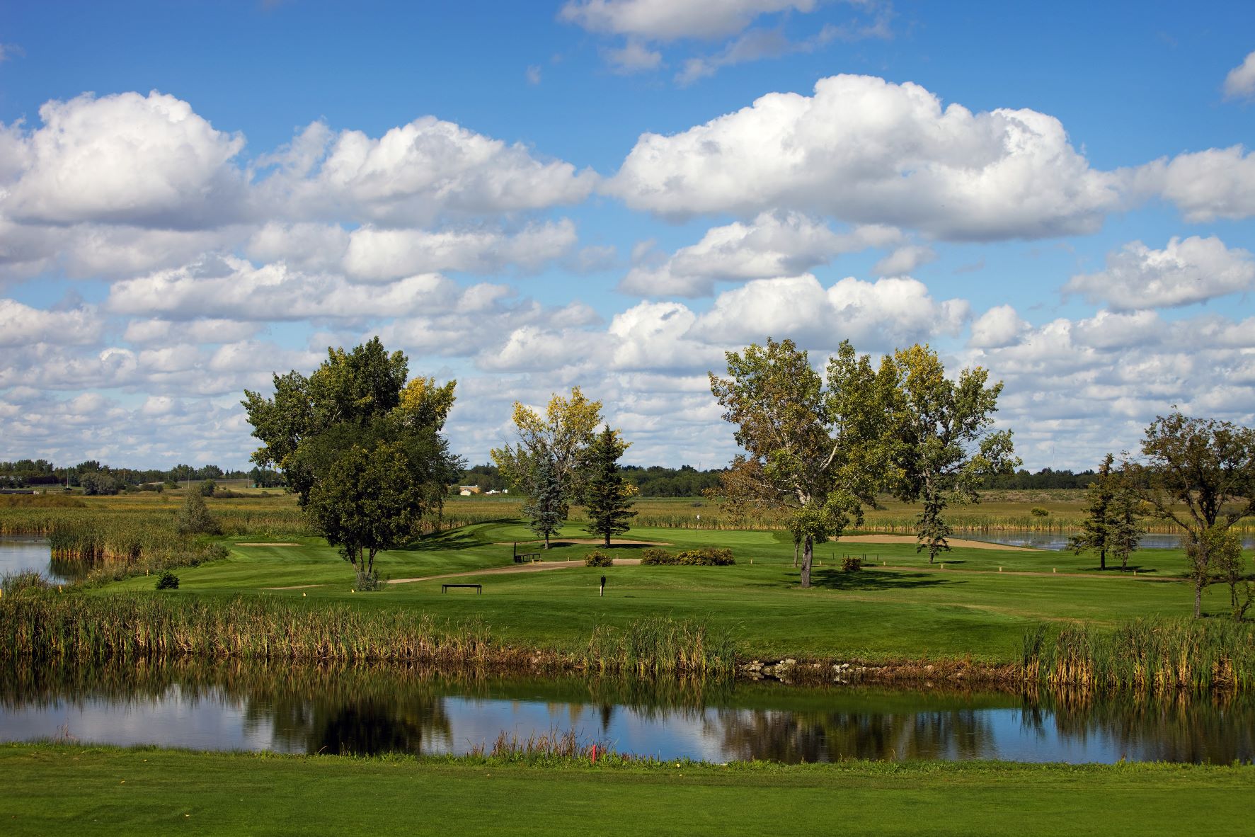 Wascana Country Club - Womens Golf Day