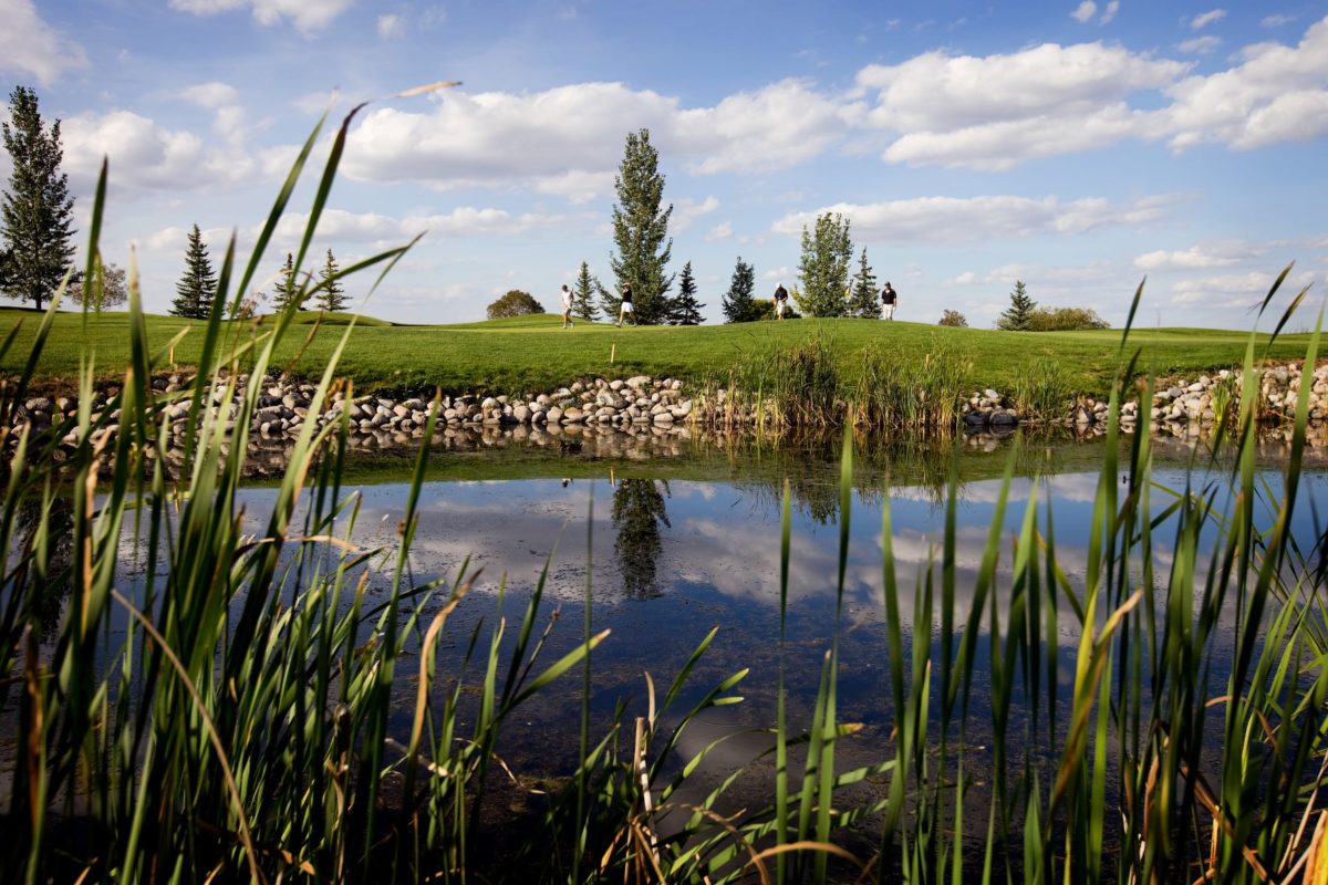 Wascana Country Club - Womens Golf Day